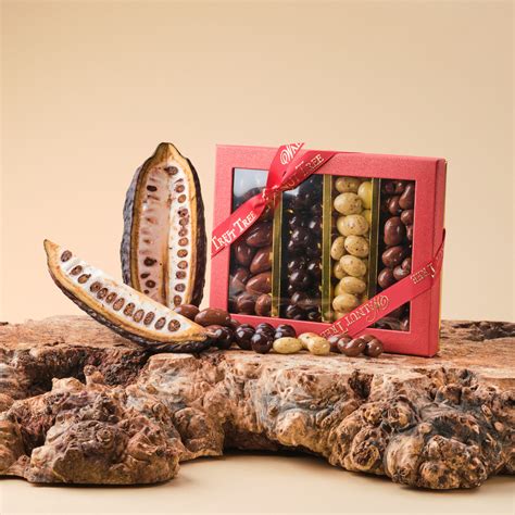 Milk Dark White And Caramel Chocolate Covered Nuts