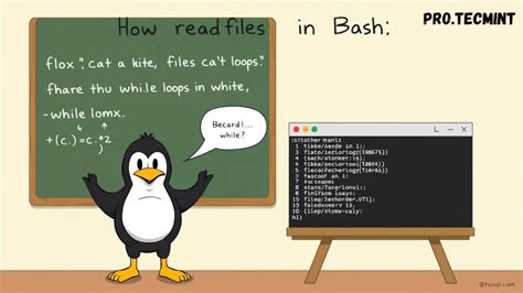 How To Read Files In Bash With Cat Loops And More