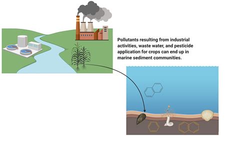 Sediment Pollution Oceanbites