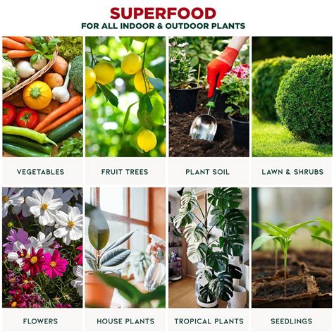 Gardenera Algas Algas Líquidas Orgánicas Prémium 8 Onzas Aumenta El Crecimiento Y La Salud De Tu