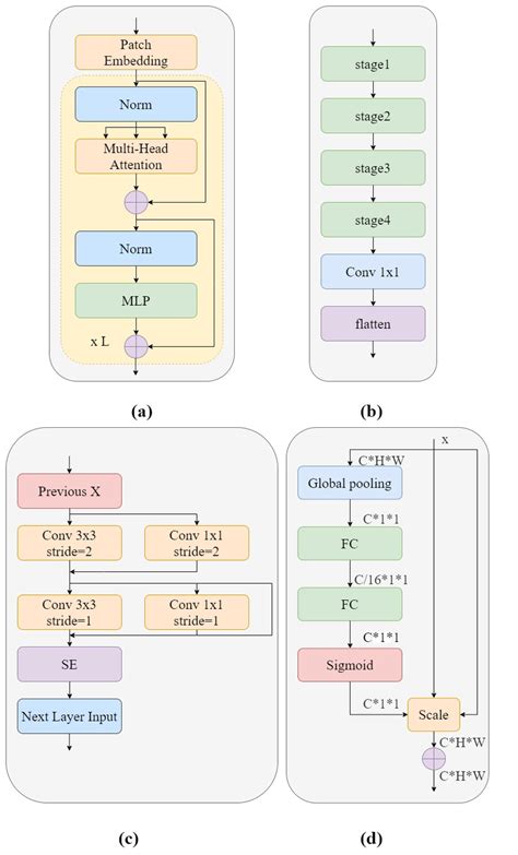 A The Structure Of The Transformer Encoder B Vit P Patch