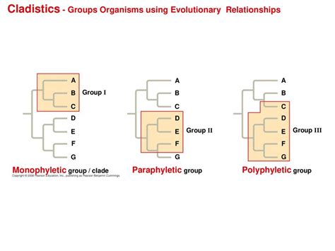 Phylogeny And The Tree Of Life Ppt Download