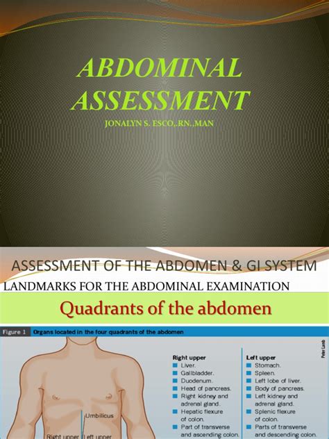 Abdominal Assessment Guidelines Pdf Gastrointestinal Tract Abdomen