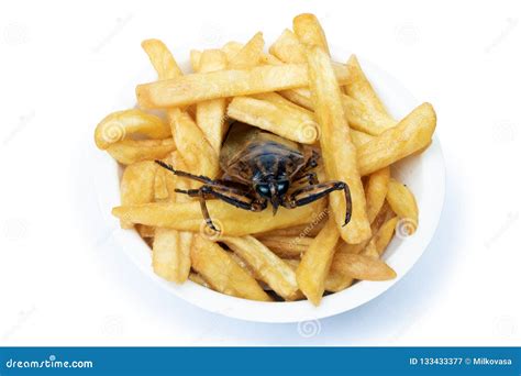 A Fried Cockroach With French Fries In Cup Stock Image Image Of