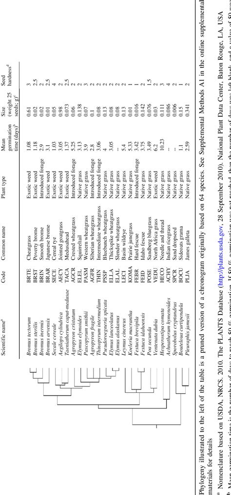 Grass Species Phylogeny Nomenclature And Measured Seed