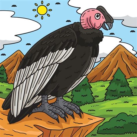 Condor Dibujo