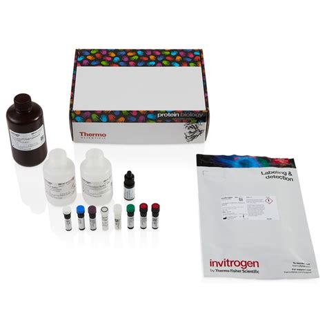 Invitrogen Ebioscience Immune Response T Cell Receptor Signaling Kit 1