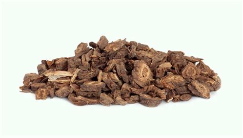Qiang Huo Notopterygium Root Uses Benefits Side Effects Warnings