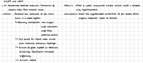 Bio Chapter 4 Flashcards Quizlet