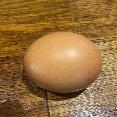 1 Egg