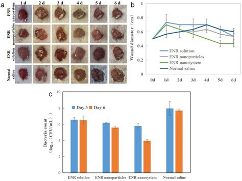 Therapy Effects Of Different Enrofloxacin Formulations A
