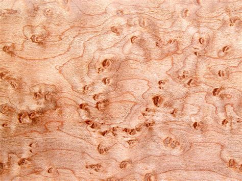 Birds Eye Maple Wood Grain
