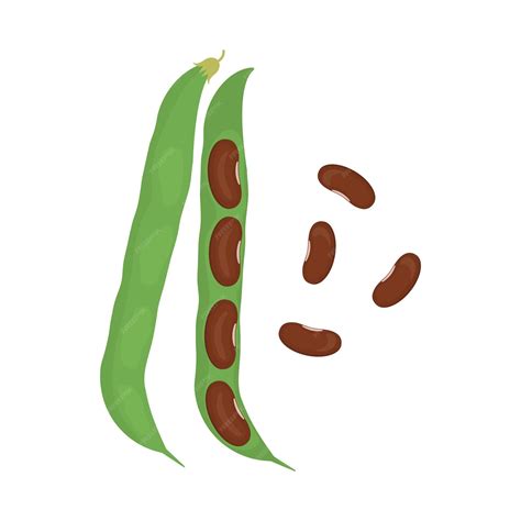 Premium Vector Red Bean Pod Flat Vector Illustration On White Background