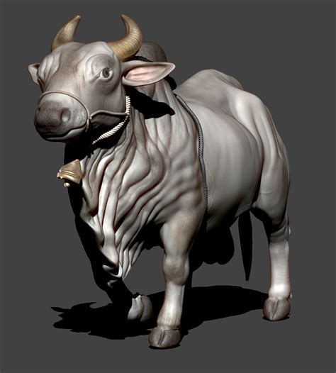 srinivas reddy pittu basava