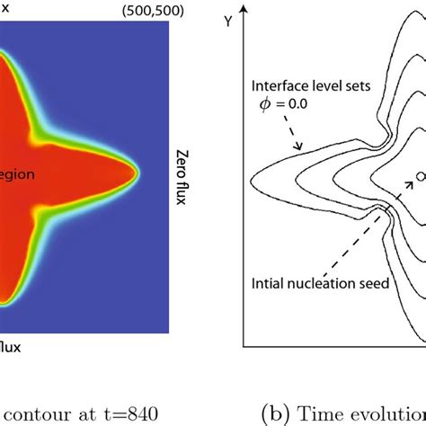 Growth Of A Single Equiaxed Dendrite In An Undercooled Melt Of Pure Download Scientific Diagram
