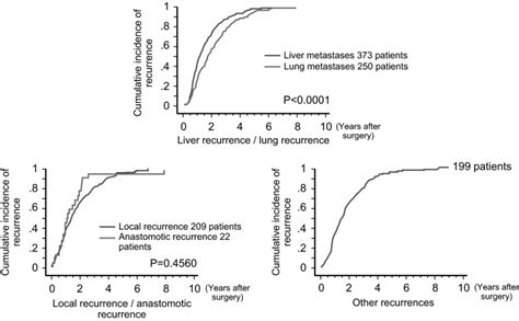 Japanese Society For Cancer Of The Colon And Rectum Jsccr Guidelines