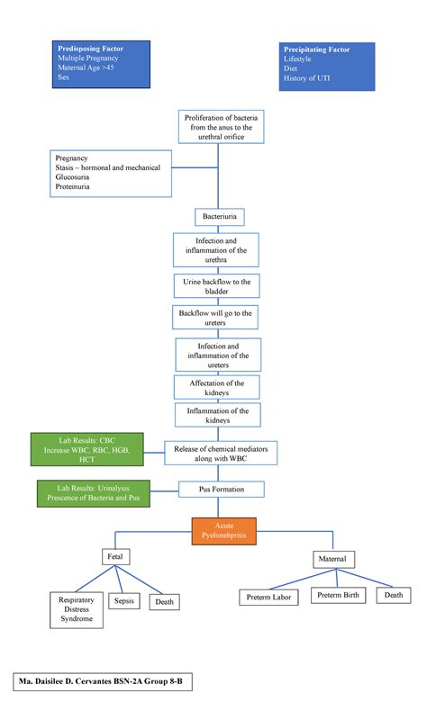 Pathophysiology Predisposing Factor Multiple Pregnancy Maternal Age 45 Sex Precipitating