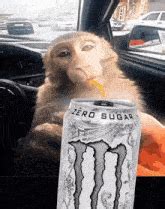 White Monster Meme White Monster Discover And Share S