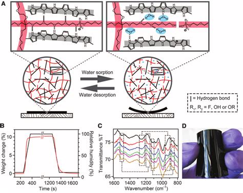 Characterization Of Peeppy Composite Films A A Peeppy Composite Film
