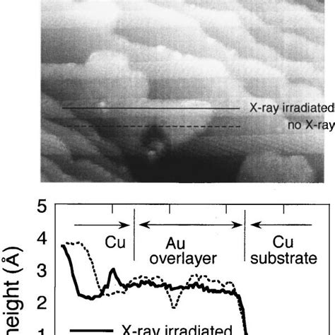 Upper Panel Stm Image Of The Aucu111 Surface During Scanning The