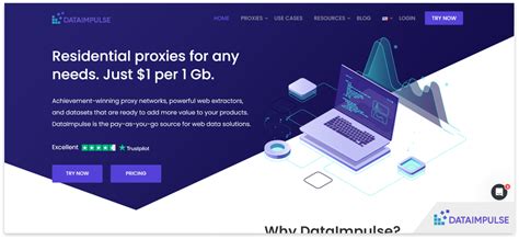 Dataimpulse Review Affordable Proxy Service But Is It Good Privacysavvy