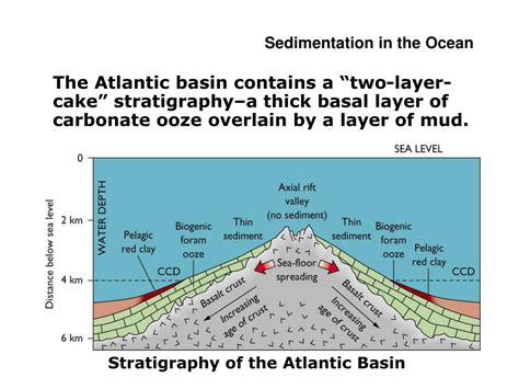 Ppt Marine Sedimentation Powerpoint Presentation Free Download Id