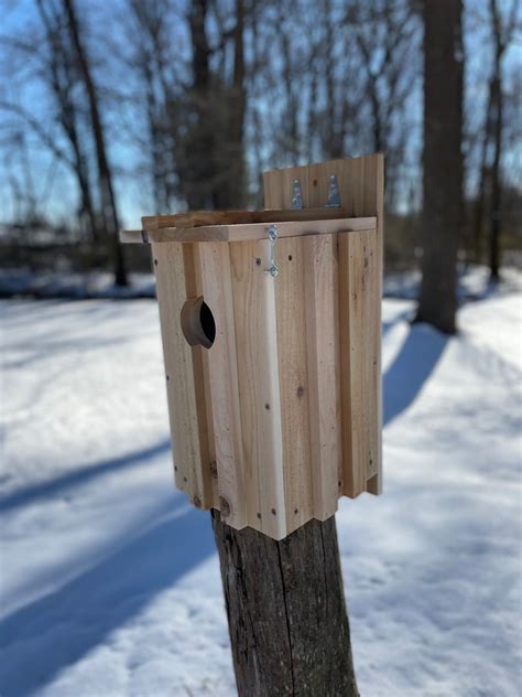 American Kestrel Nest Box Etsy