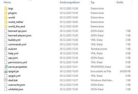 Create A Minecraft Localhost Server For You By Cokiecrafteryt Fiverr