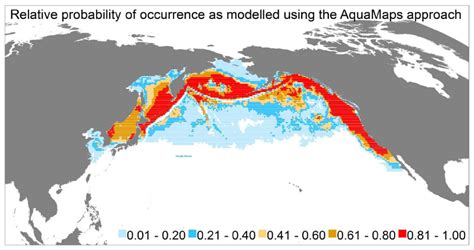 Modelled Distribution Map For The Northern Fur Seal Download