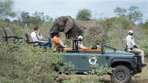 Kambaku Safari Lodge Safari Frank
