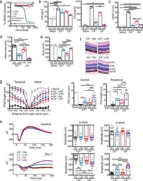 Classical And Alternative Complement Activation On Photoreceptor Outer