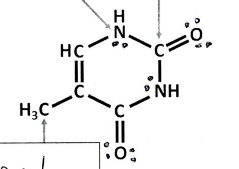 Chem 1 Exam 3 Flashcards Quizlet