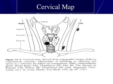 Ppt Simple Nontoxic Goiter Diffuse And Multinodular Powerpoint