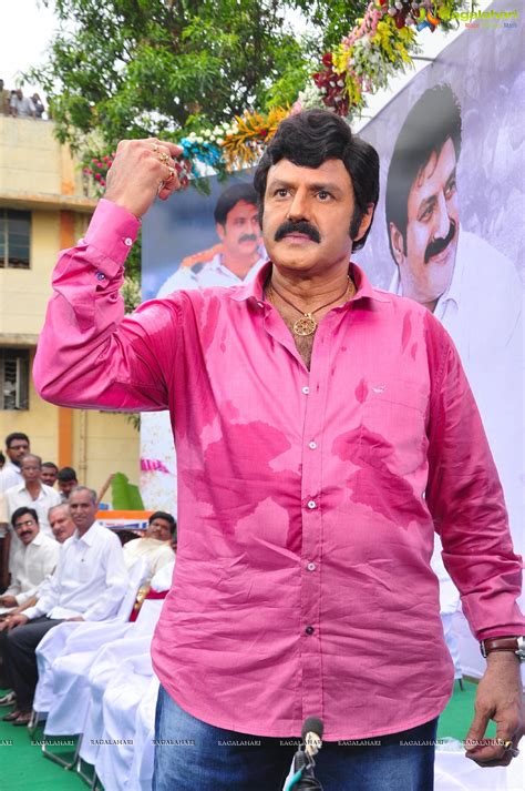 Balayyas Film Get Its Title Jai Simha