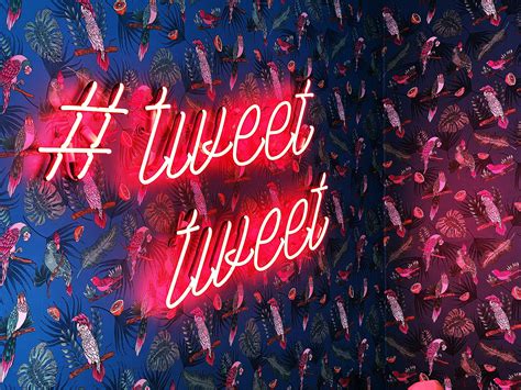 Learn React By Building A Twitter Clone · Nicotsou