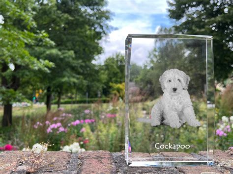 Cockapoo Crystal Decor With A Dog Engraved Crystal Decoration Custom