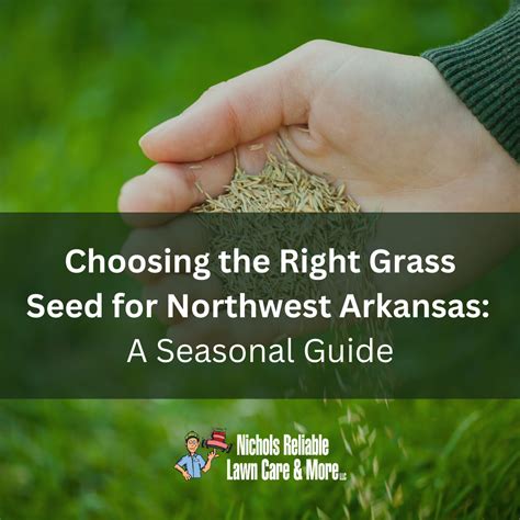 Best Grass Types For Northwest Arkansas Yards
