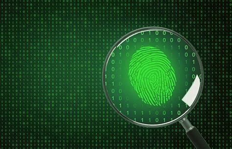 Amex Visa Citi Back 60m Funding For Trm Labs Blockchain Intelligence Ledger Insights