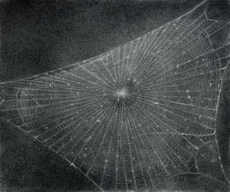 Vija Celmins Im Netz Des Sichtbaren Artline