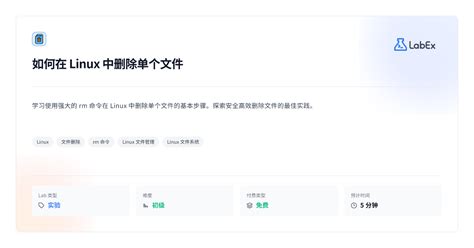 如何在 linux 中删除单个文件 labex