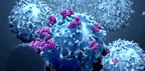 Cd14 Monocytes Are A Critical Component Of The Innate Immune System