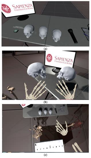 Enhancement And Communication Of Ancient Human Remains Through Vr The