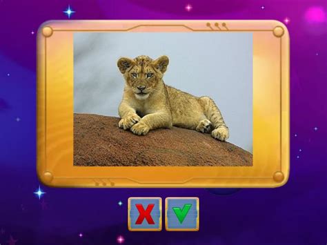 Alphablocks U Sound Flash Cards