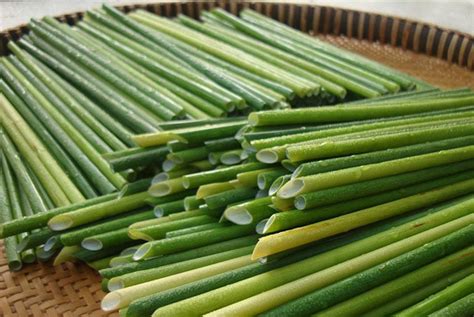 Grass Straw Manufacturing Process Eco Green Supplies