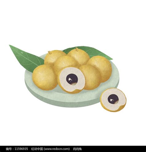 卡通龙眼手绘元素图片下载红动中国