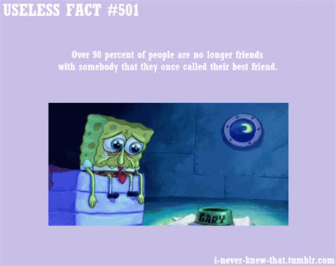 Spongebob Spongebob Missing Gary Know Your Meme