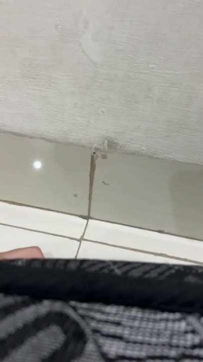 Dobot Trailer Youtube