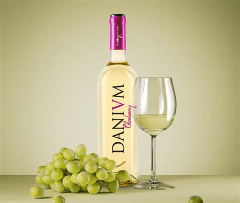 Danium DiseÑo Web Zaragoza