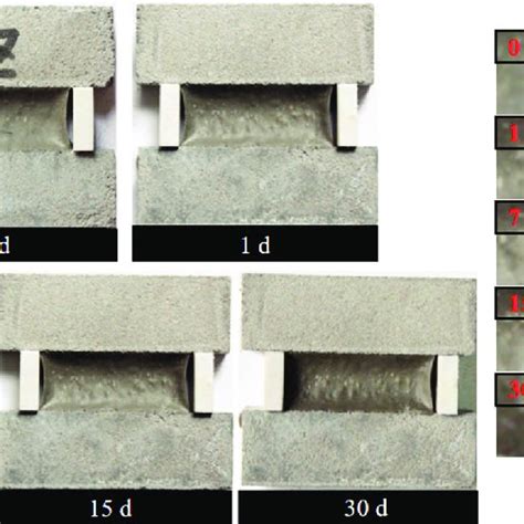 Mix Ratio Of Polymer Cement Composite Unit G Download Scientific