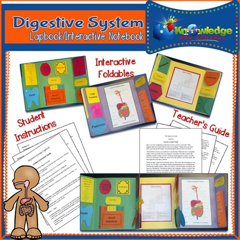 Digestive System Lapbook Interactive Notebook Ebook By Teach Simple